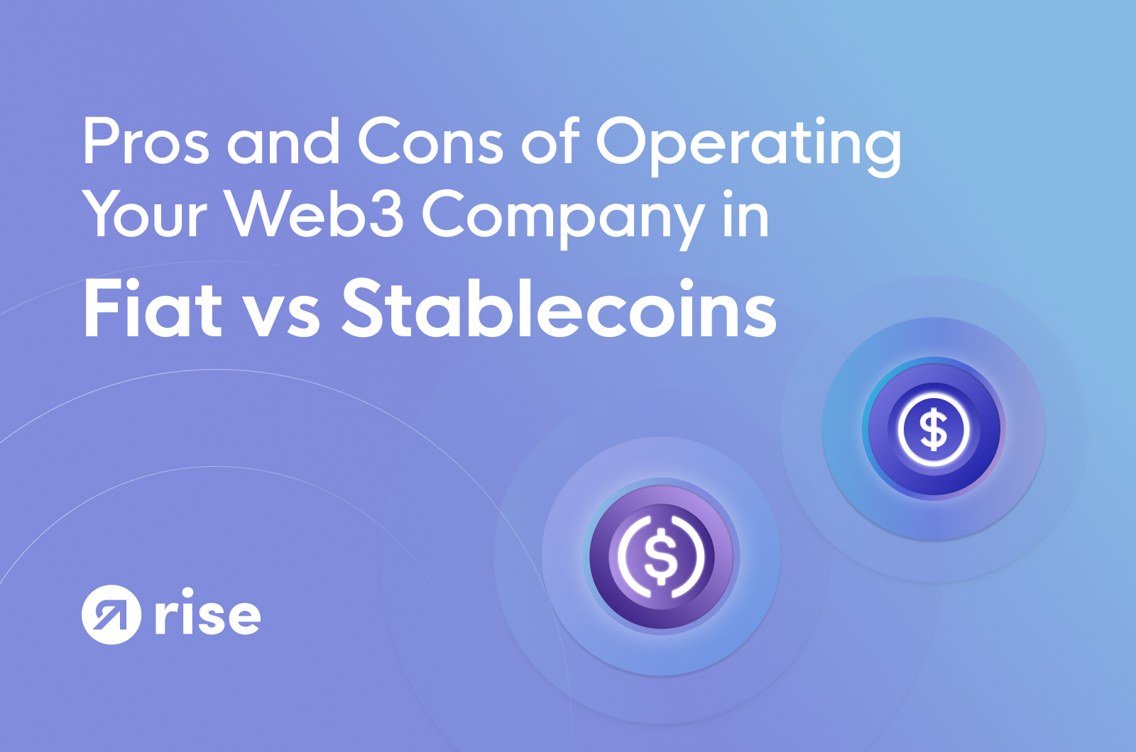 Rise | Pros and Cons of Operating your Web3 Company in Fiat Currency ...